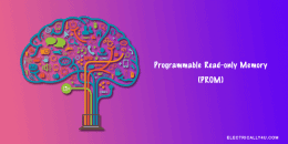 Programmable Read-Only Memory(PROM)