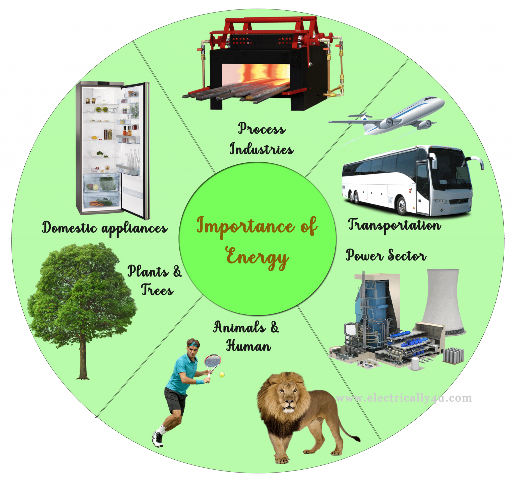 What is Energy? Importance of energy and its impact